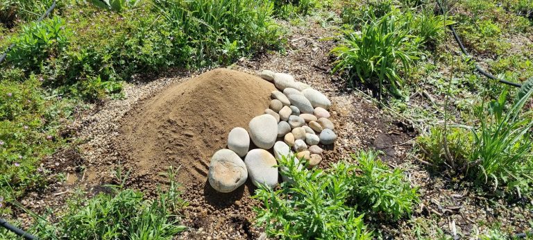 Making a small sand mound for mining bees to nest in | Urban Bees Website